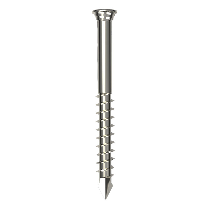 Msword Heavy Duty Wood Decking Screw Supplier - Fong Prean
